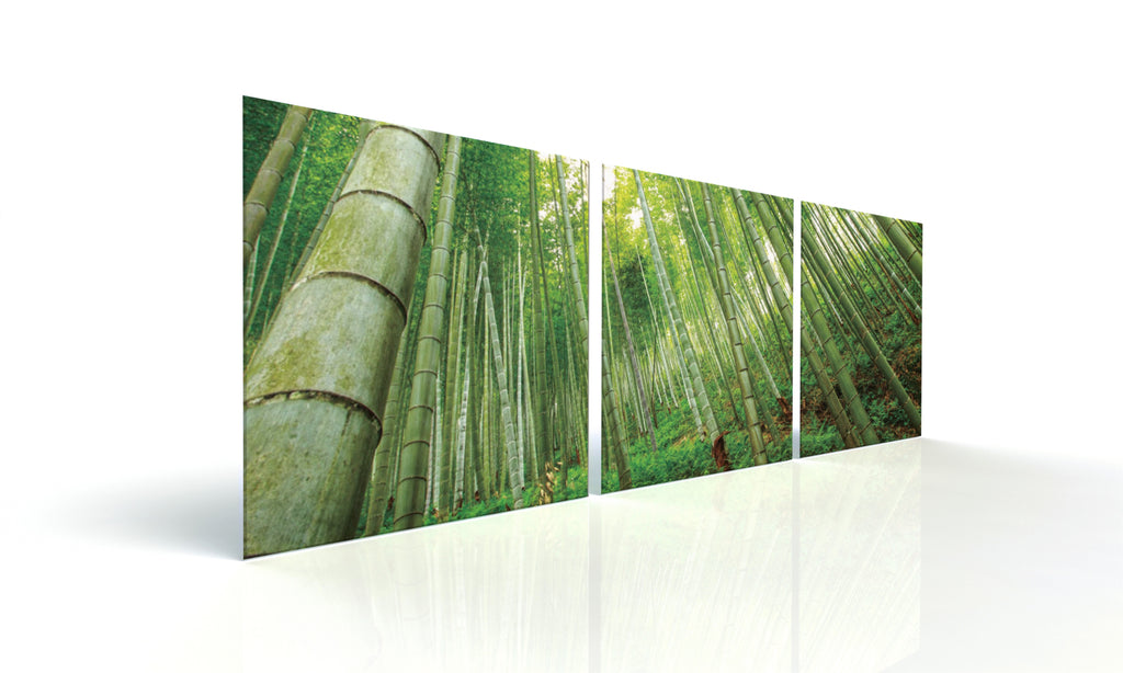 Modern fall wall decor, 3 panels set print on acrylic- Fall Arrival ...