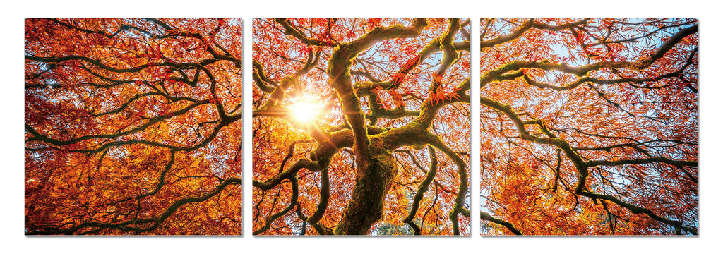 Modern fall wall decor, 3 panels set print on acrylic- Fall Arrival ...